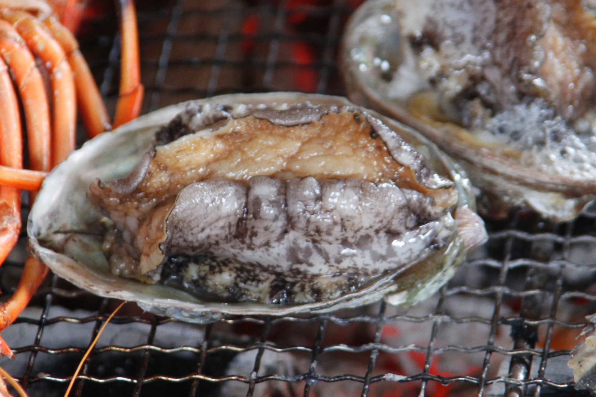 アワビ | 日本の食べ物用語辞典