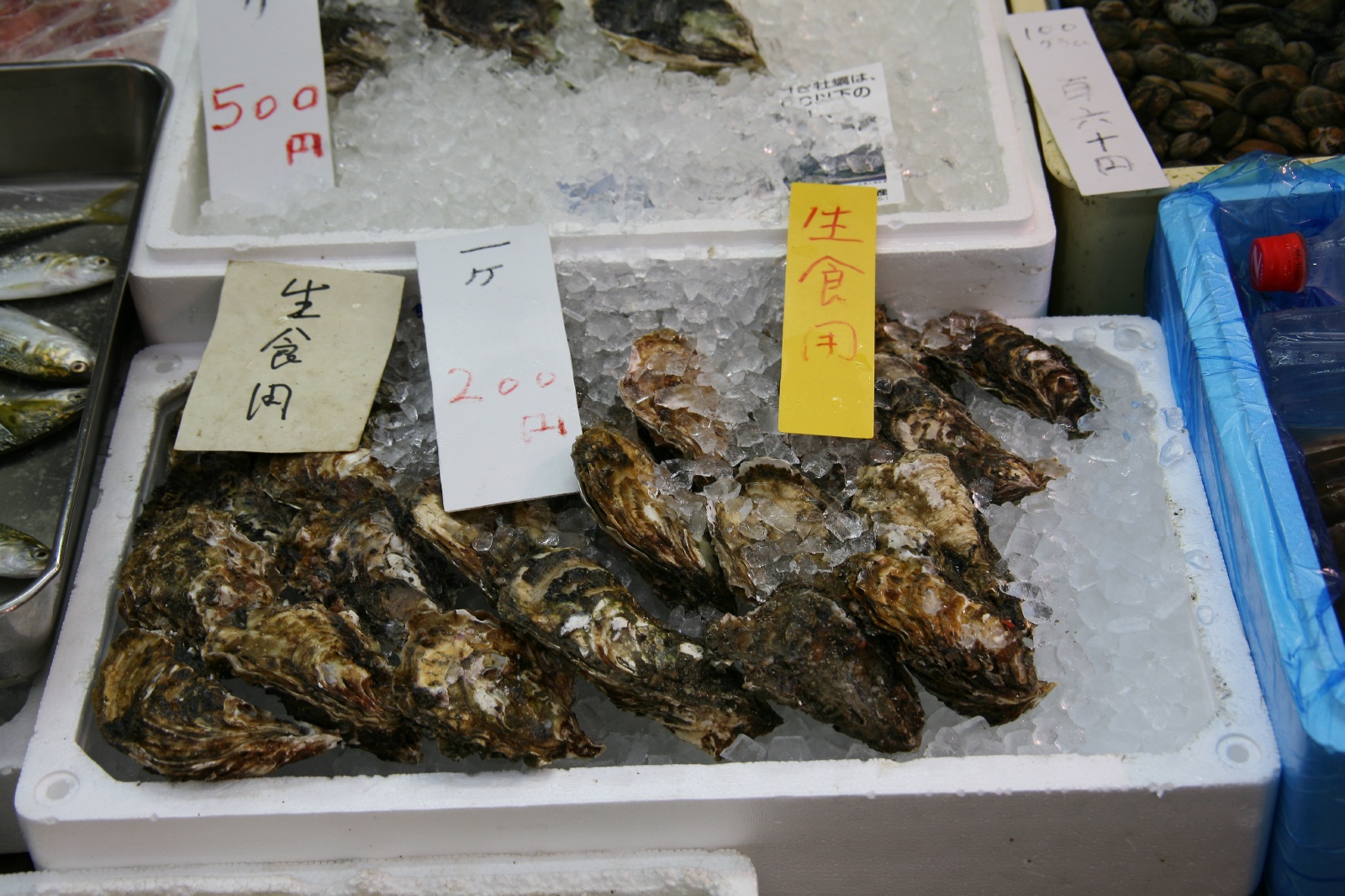 岩がき | 日本の食べ物用語辞典